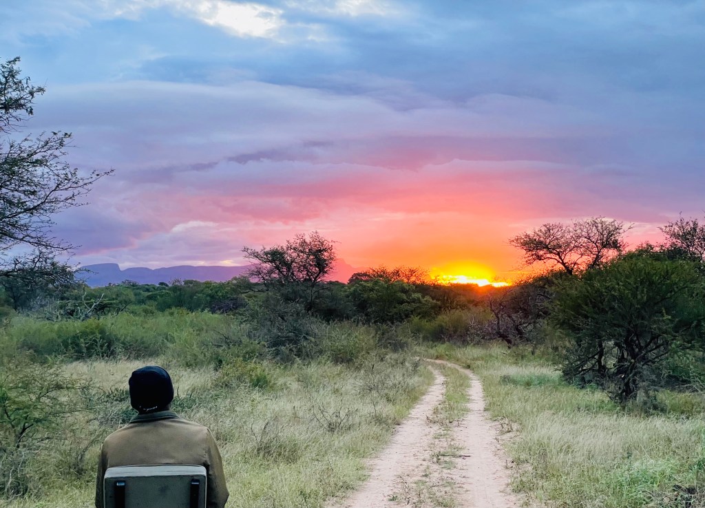 What Happens When It Rains On An African Safari? 10 Tips To Survive ...